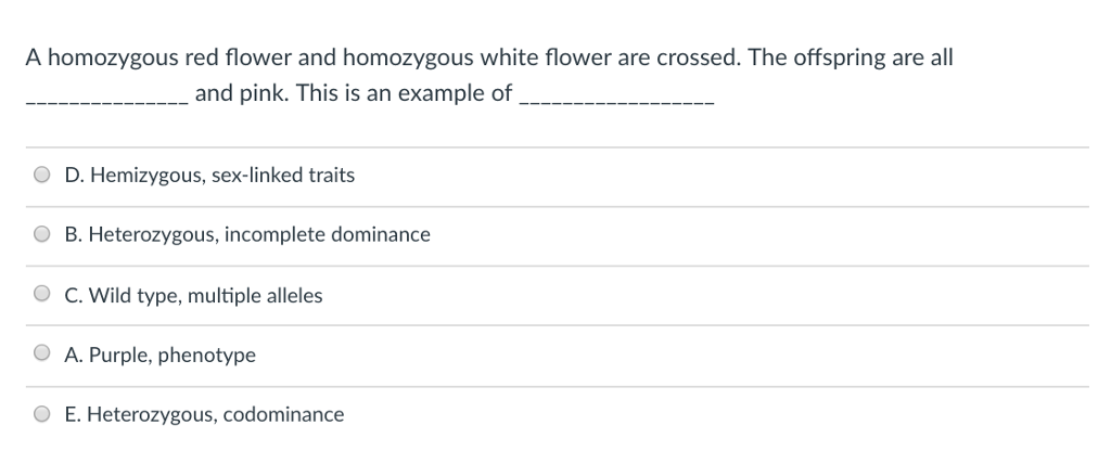 Solved A Homozygous Red Flower And Homozygous White Flower