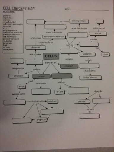 Cell Concept Map Answer Key Maps Model Online