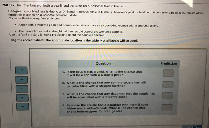 Solved The Inheritance Of Both A Sex Linked Trait And An