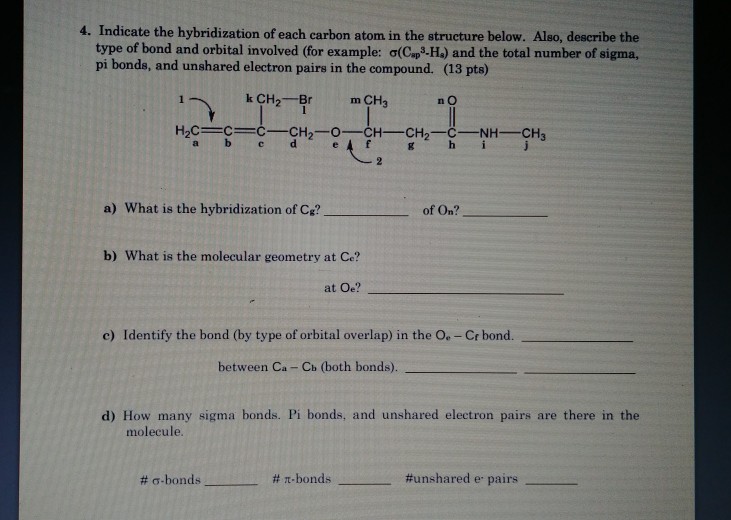 Solved 4 Indicate The Hybridization Of Each Carbon Atom In