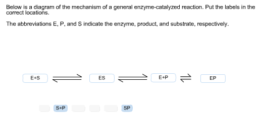 Diagram Of Enzyme Catalyzed Reaction