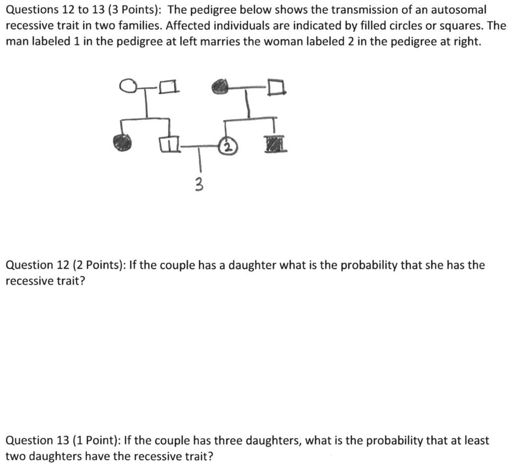 Solved Questions 12 To 13 3 Points The Pedigree Below