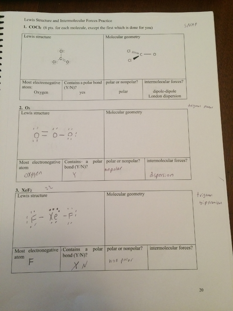 Solved 7 Bef2 Lewis Structure Molecular Geometry Most