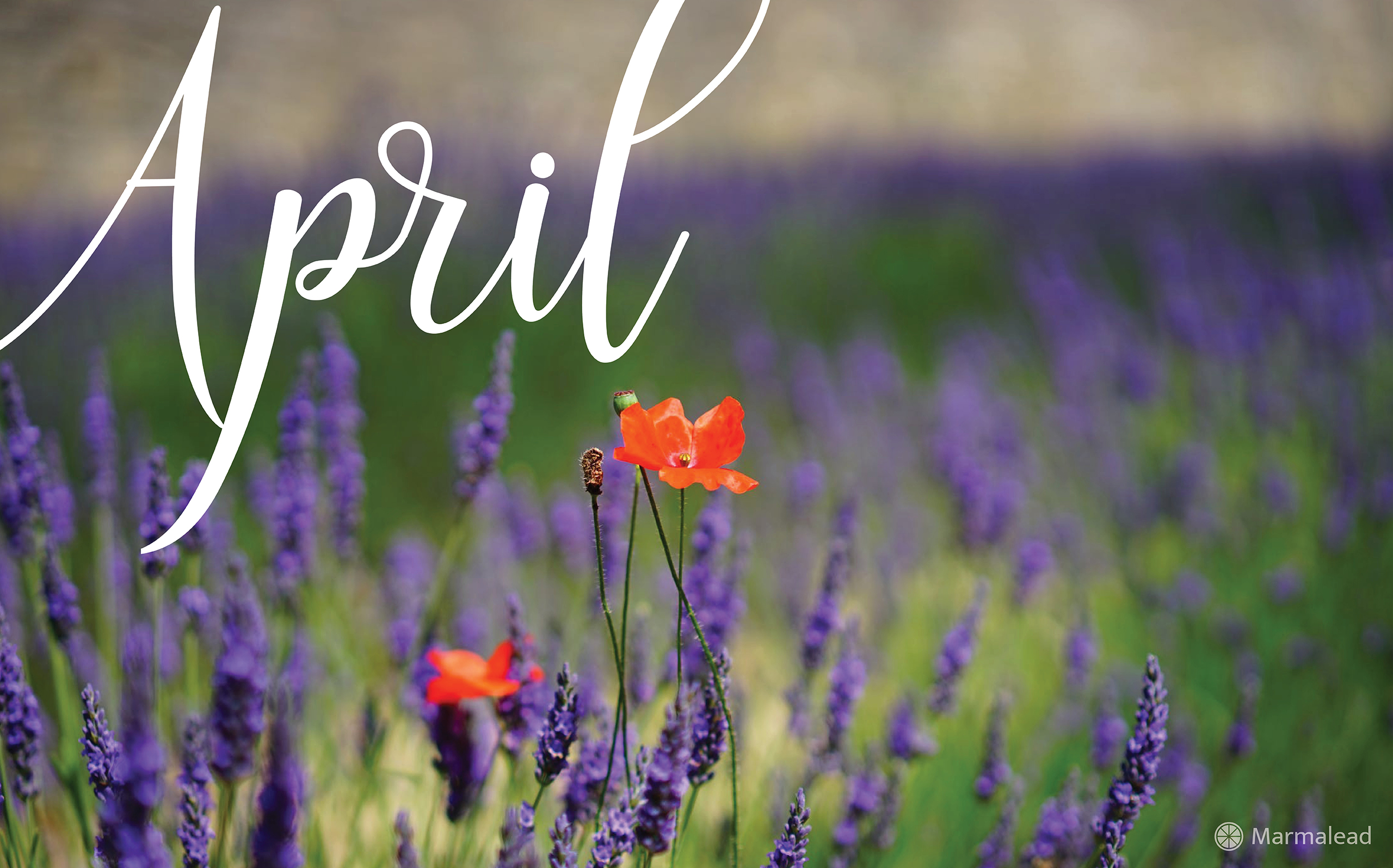 April 2019 Free Desktop Calendarwallpaper From Marmalead