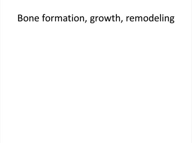 13 Skeletal System Bone Formation Growth Remodeling And Calcium