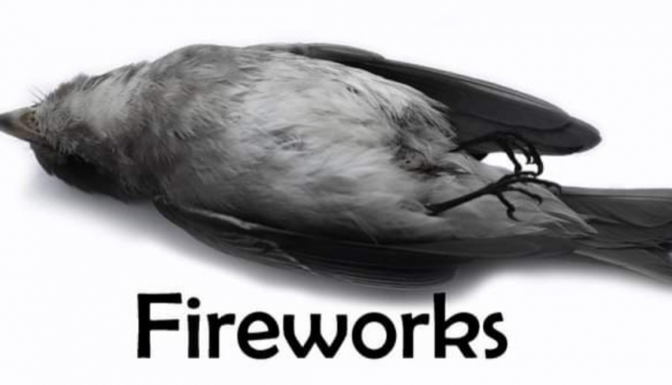 Sign Petition Ban Fireworks ·