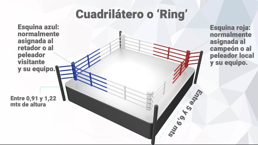 Reglas Y Divisiones Del Boxeo Profesional