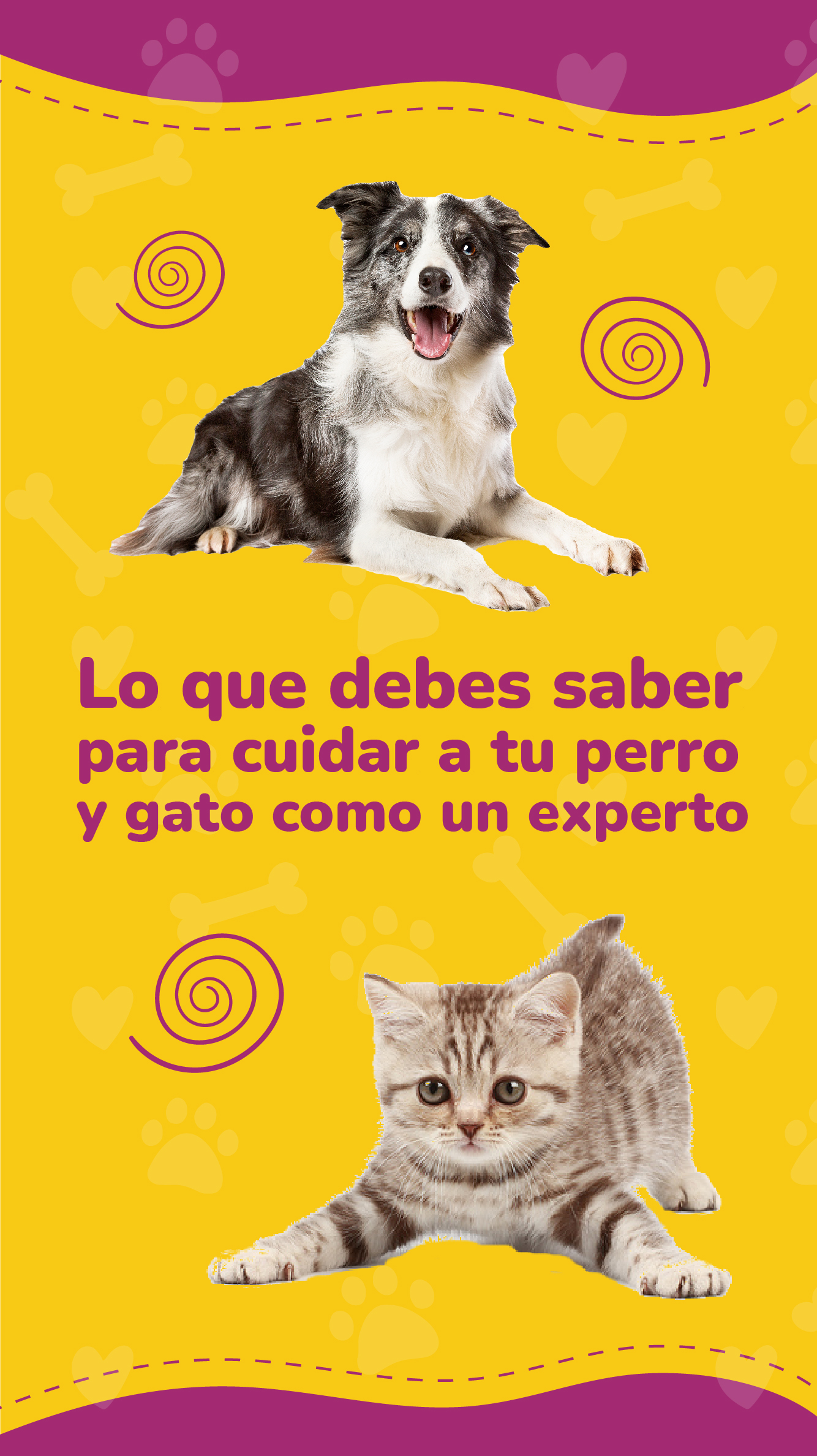 Tips De Cuidado Y Salud De Perros Y Gatos