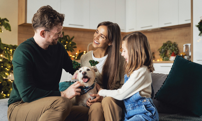 How To Keep Pets Happy And Healthy This Holiday Season 1033 The Vibe