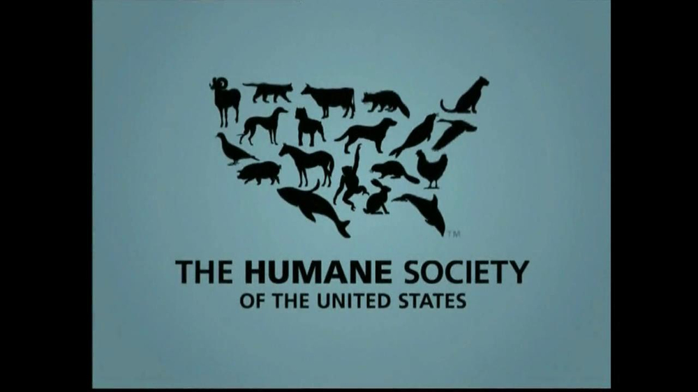 Humane Society Tv Commercial For Rescue Animals Now Ispottv