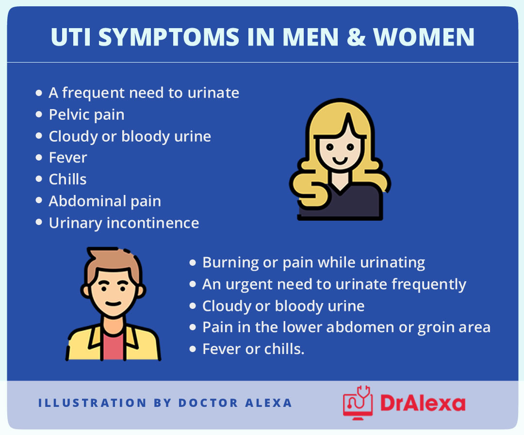 Uti Symptoms What To Know About Urinary Tract Infections