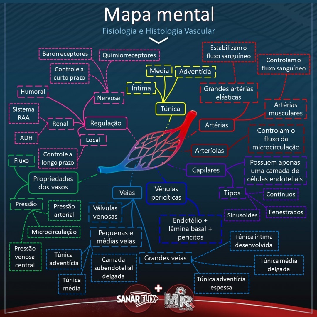 Fisiologia Humana Mapa Mental De Un Mapa Mental Images Images And