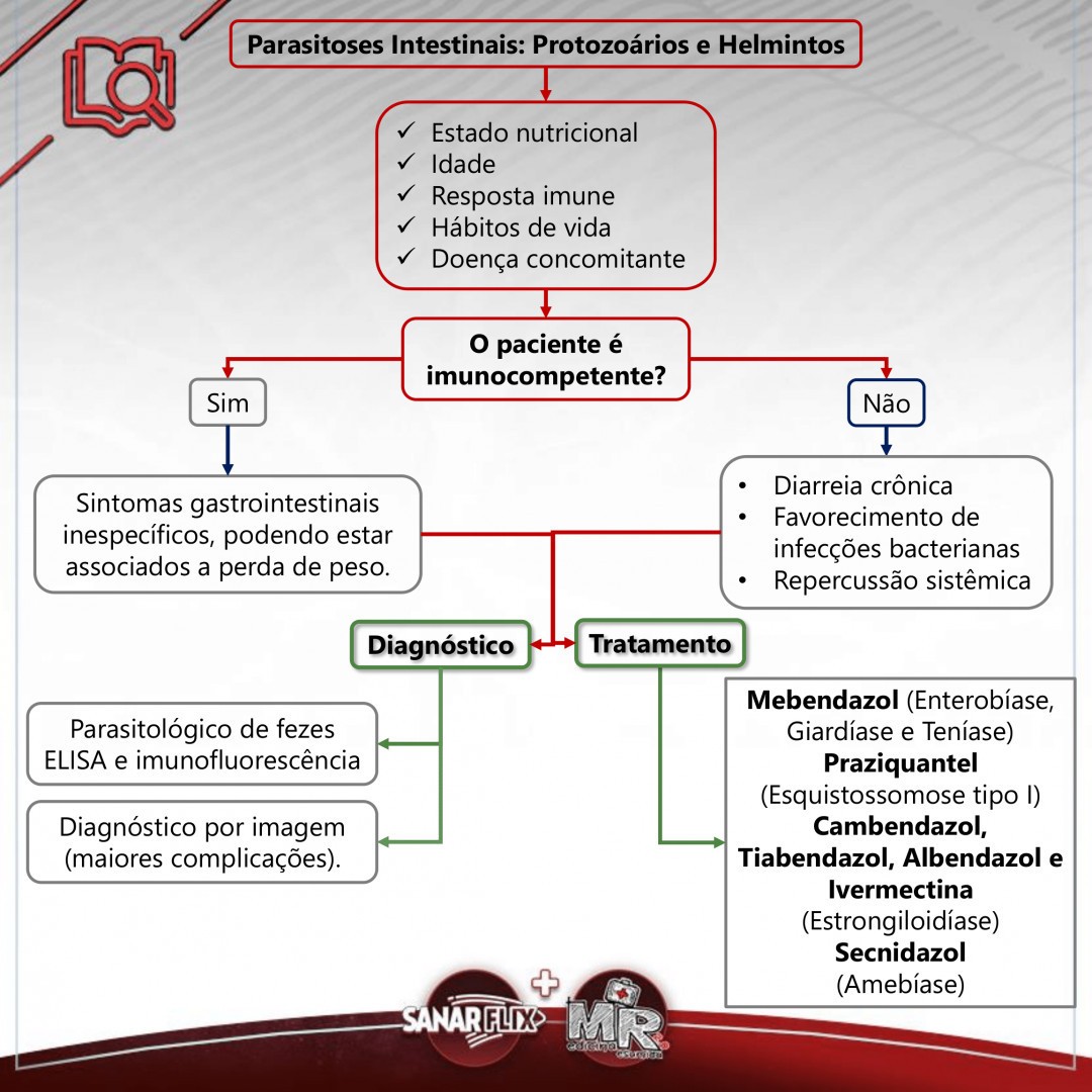 Mapa Mental De Parasitoses Intestinais 1 Parasitoses Intestinais 2