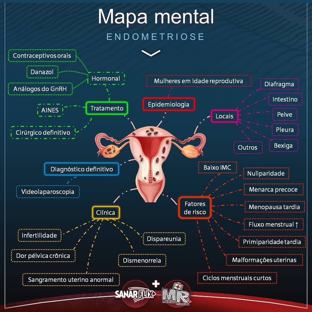 Top Imagen Mapa Mental Ciclo Menstrual Viaterra Mx Hot Sex Picture