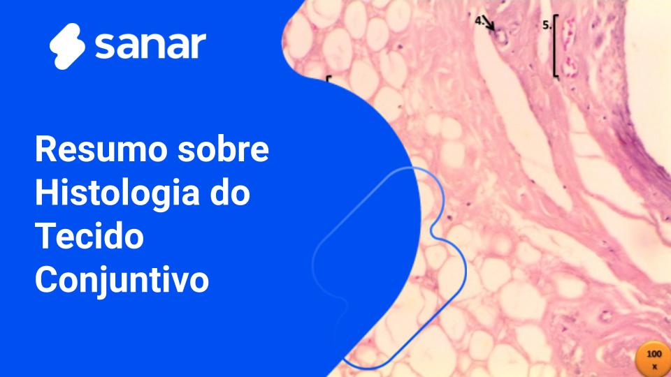 Tecido Conjuntivo Histologia Interativa Roteiros De E