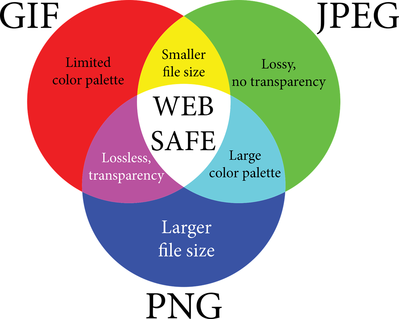 What Are The Differences Between Png Jpeg And Tiff Formats