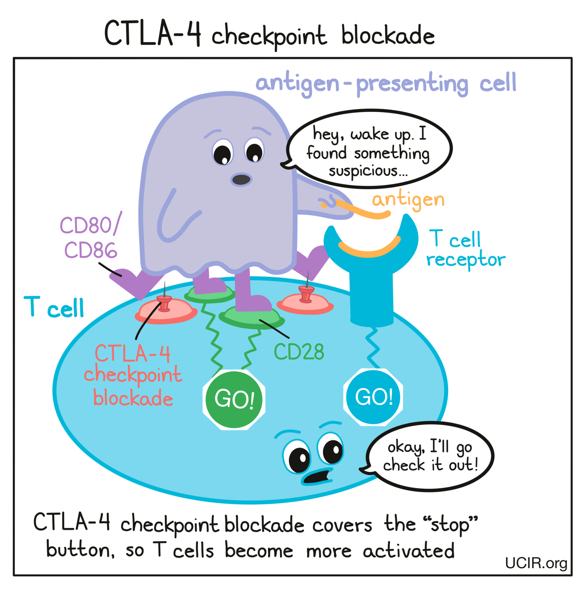 Checkpoint Blockade