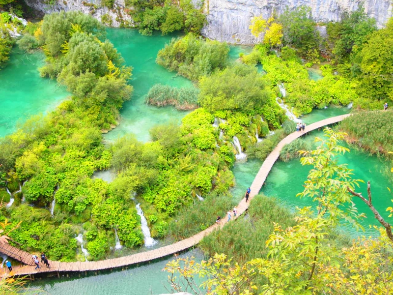 エメラルド色の湖が連なるクロアチアの世界遺産・プリトヴィツェ湖群国立公園の写真（エメラルドグリーンの湖）