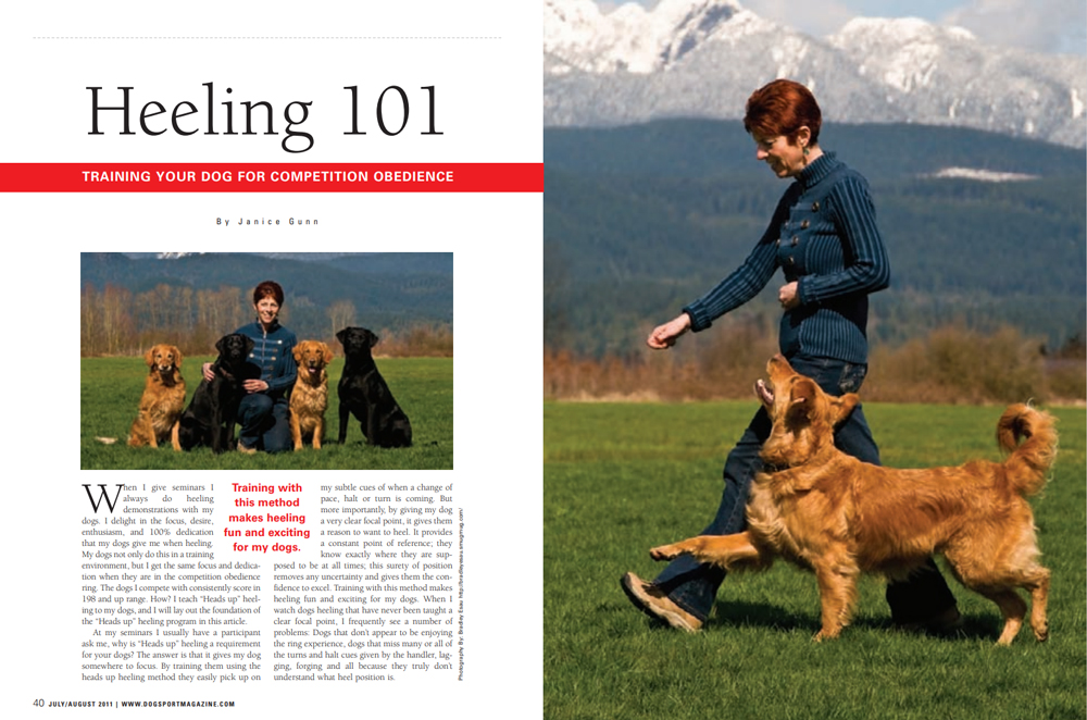 What Does Heel Mean In Training A Dog At Brenda Burk Blog