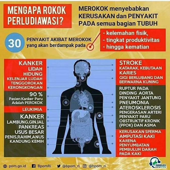 Penyakit Akibat Rokok Newstempo