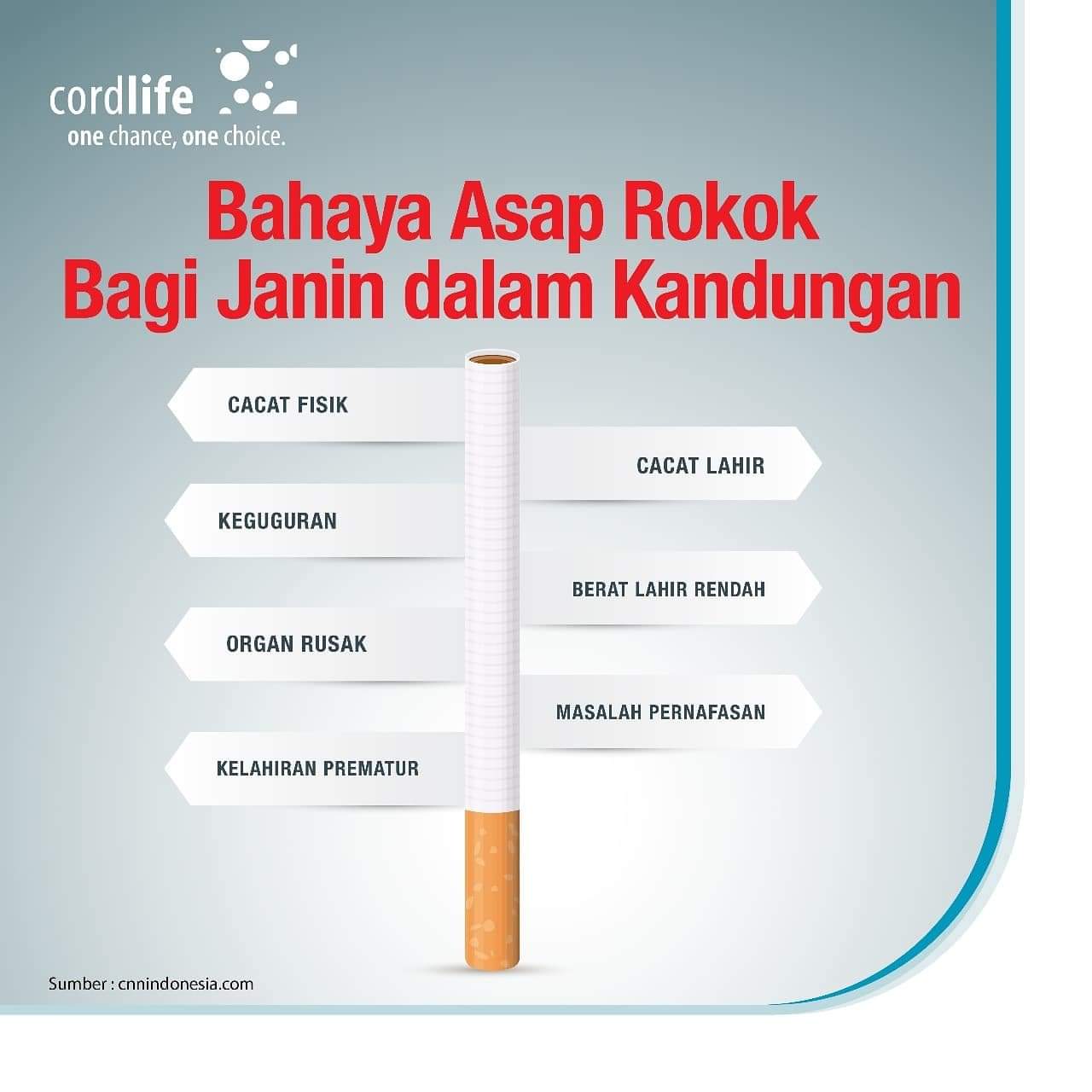 Bahaya Asap Rokok Bagi Janin Dalam Kandungan Atmago