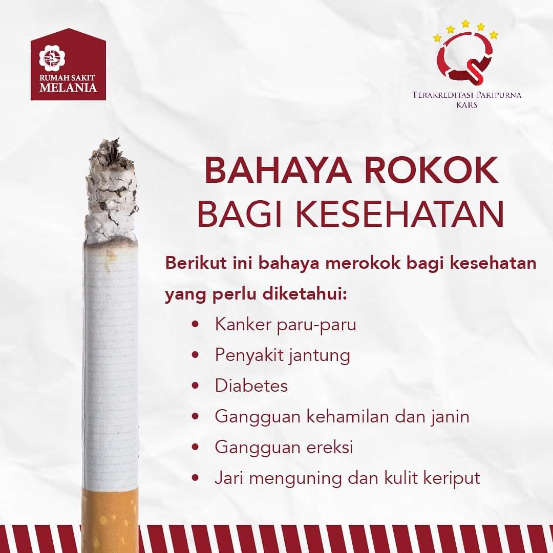 Ketahui Bahaya Rokok Bagi Kesehatan Dan Zat Kandungannya Porn Sex Picture