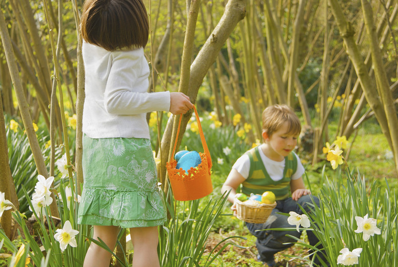 Brother And Sister Enjoying Easter Egg Hunt Among Trees And Daffodils