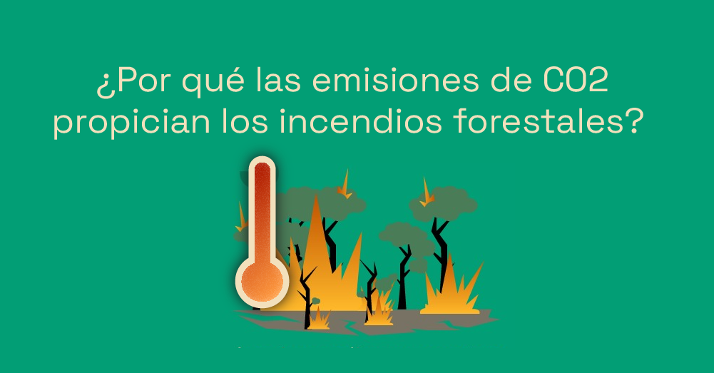 ¿por Qué Las Emisiones De Co2 Propician Los Incendios Forestales