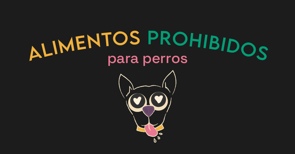 Alimentos Prohibidos Para Perros Por Más Ojitos Que Hagan