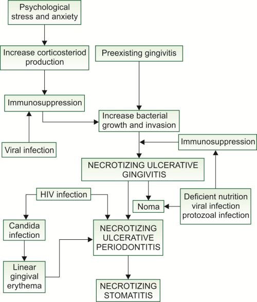 Sequelae Of Dental Caries Flowchart