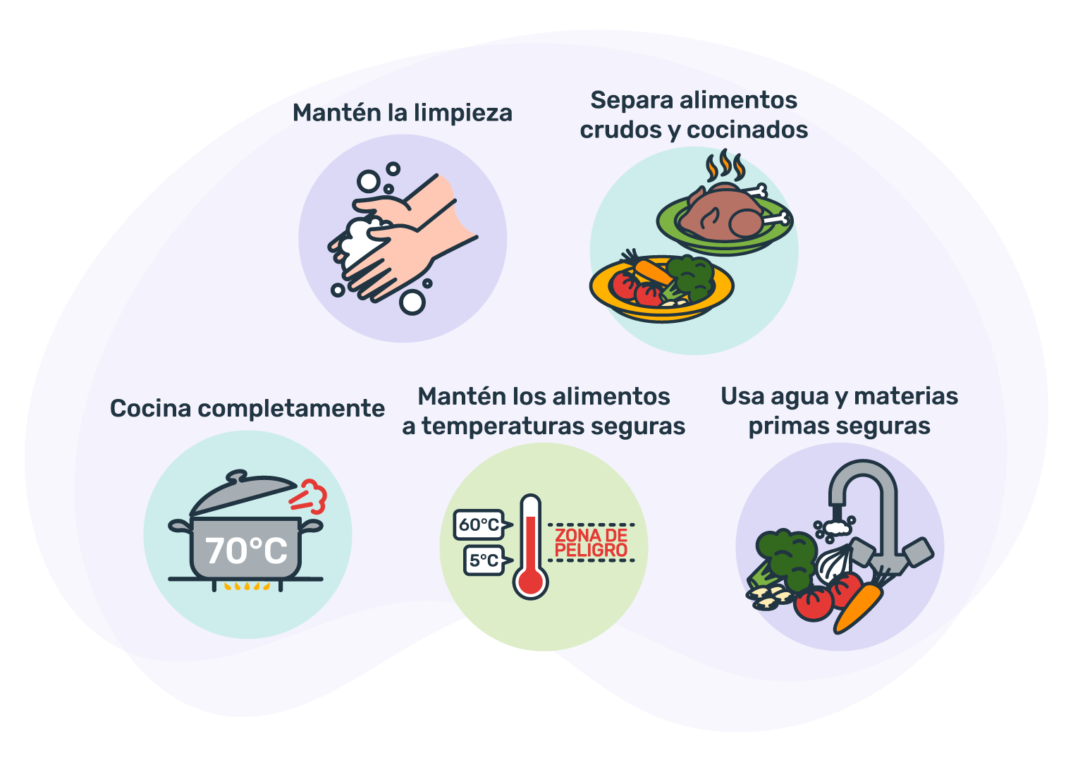 Inocuidad De Los Alimentos Y Nutrición