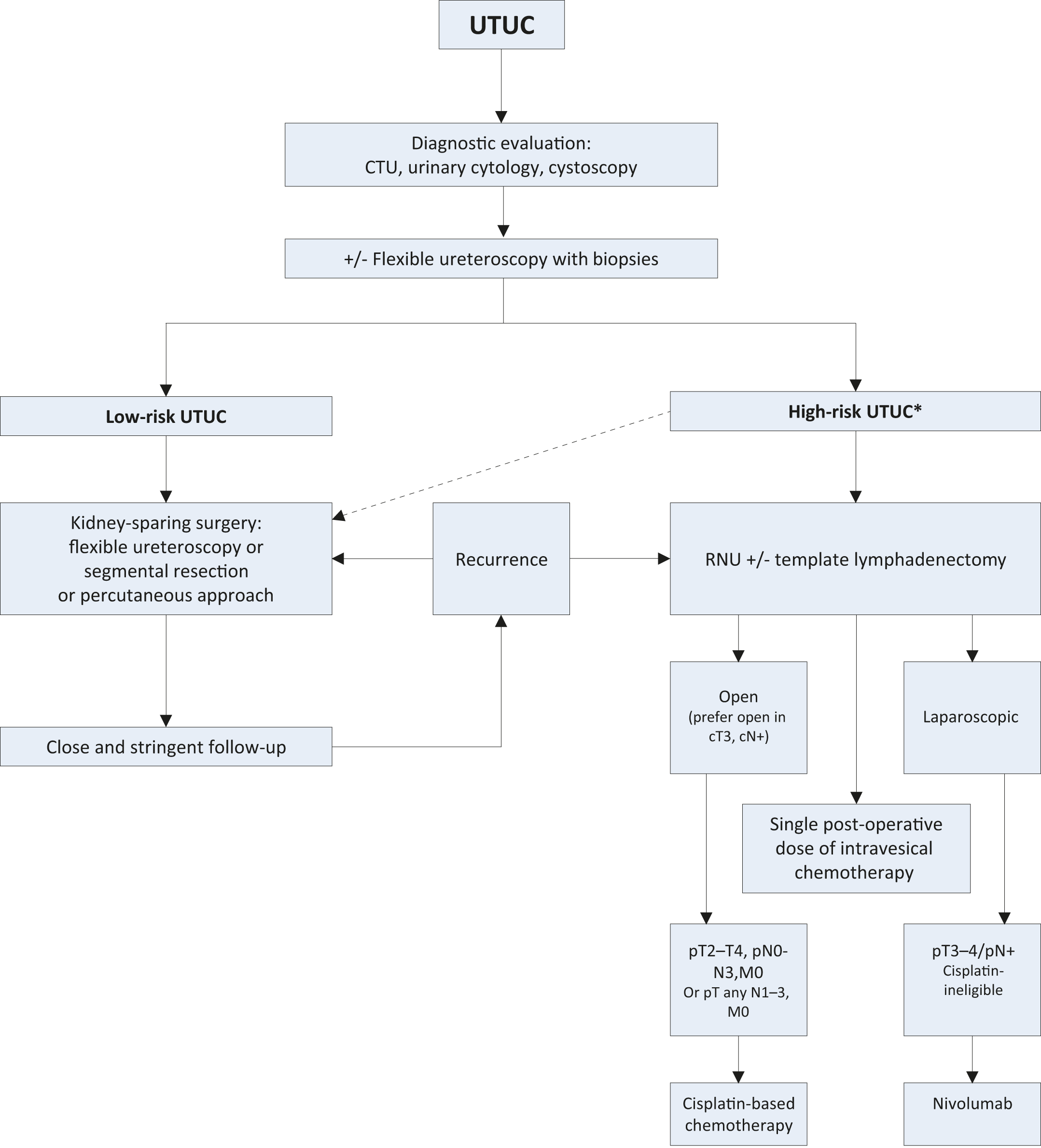 Upper Urinary Tract Urothelial Cell Carcinoma Introduction Uroweb