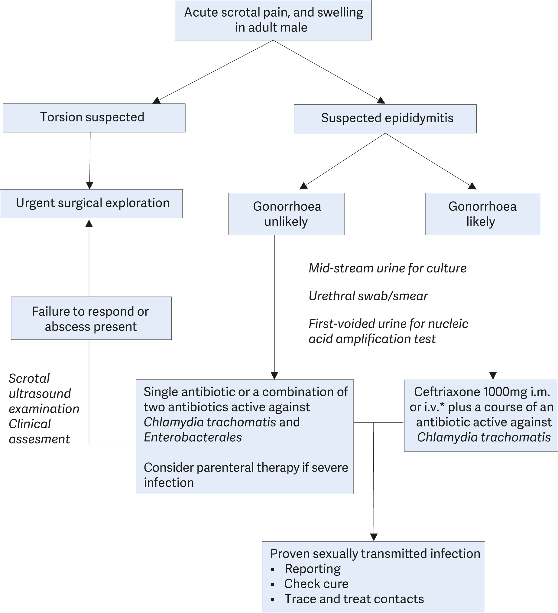 Urological Infections The Guideline Uroweb