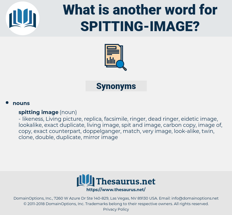 Spitting Image 193 Synonyms And 4 Antonyms