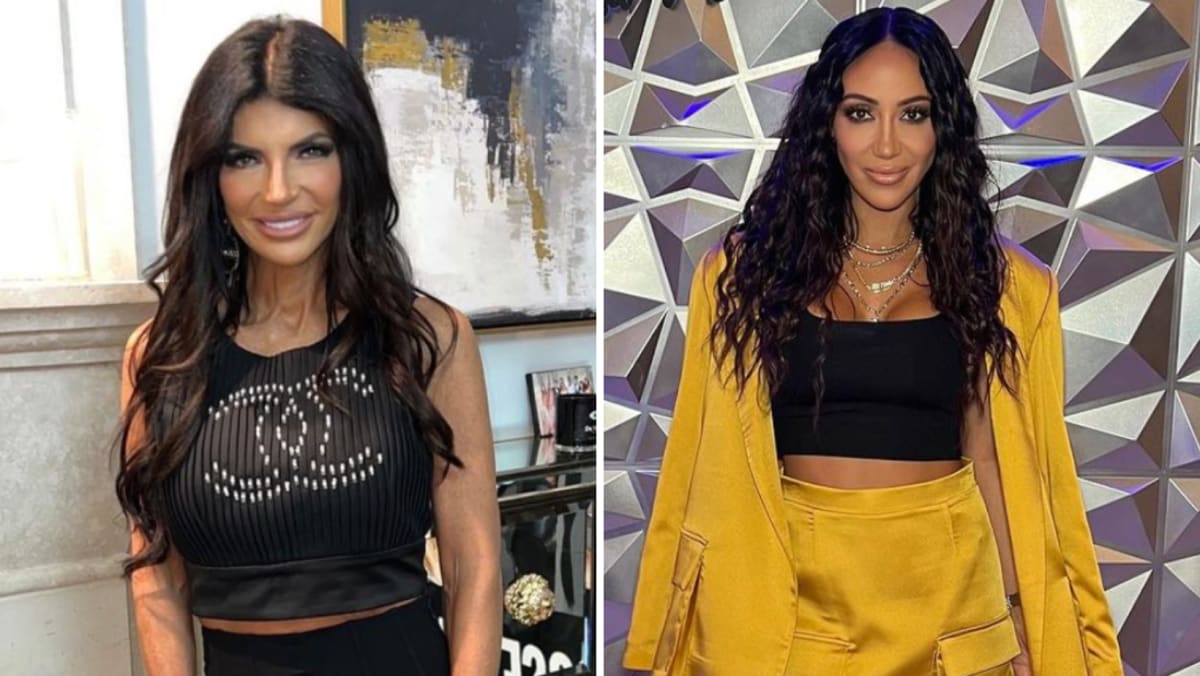 Internet Trolls Teresa Giudice For Recreating Infamous Rhonj Season 1