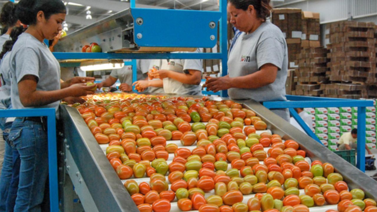 Exportaciones De Alimentos Inician El Año Con Récord