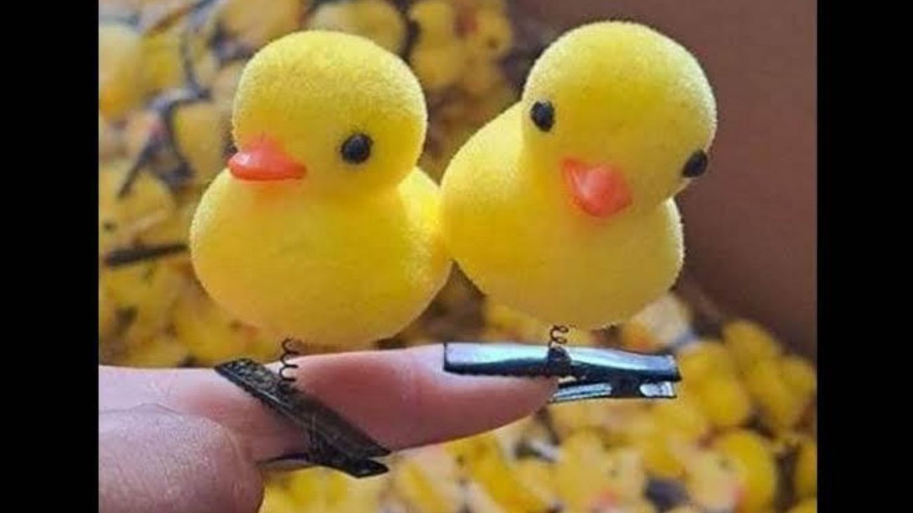 Patitos En La Cabeza ¿qué Significa Esta Moda Kawaii