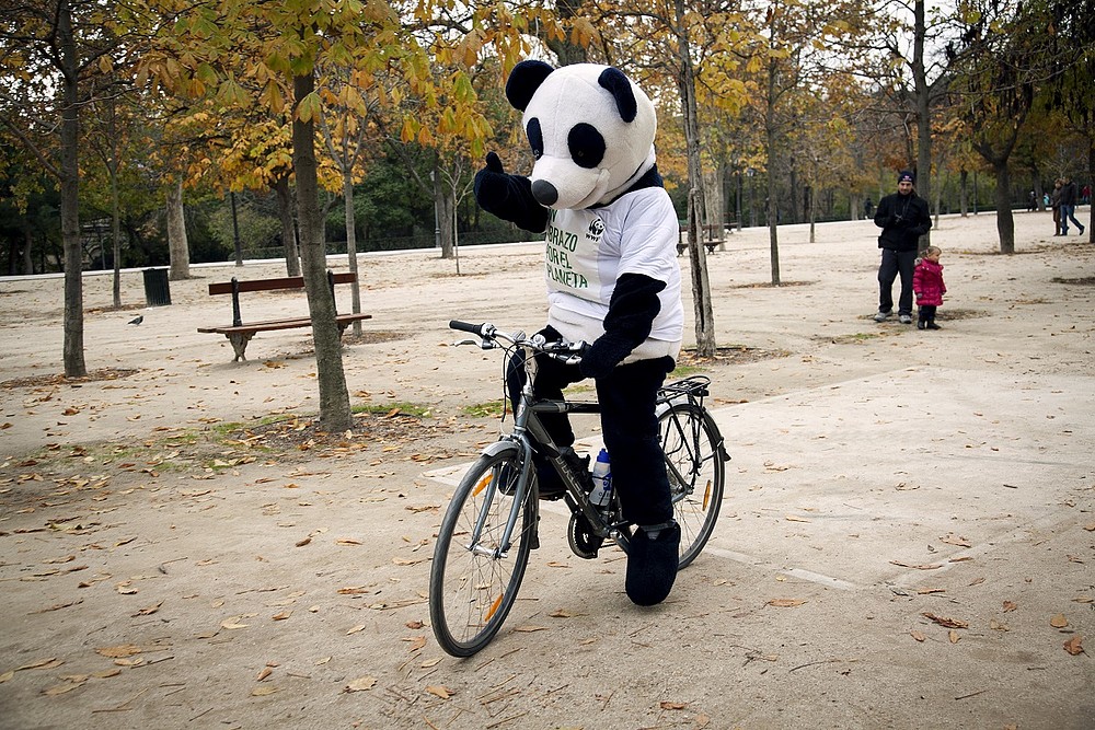 Clima Y Energía Movilidad Sostenible Nuestro Trabajo Wwf España