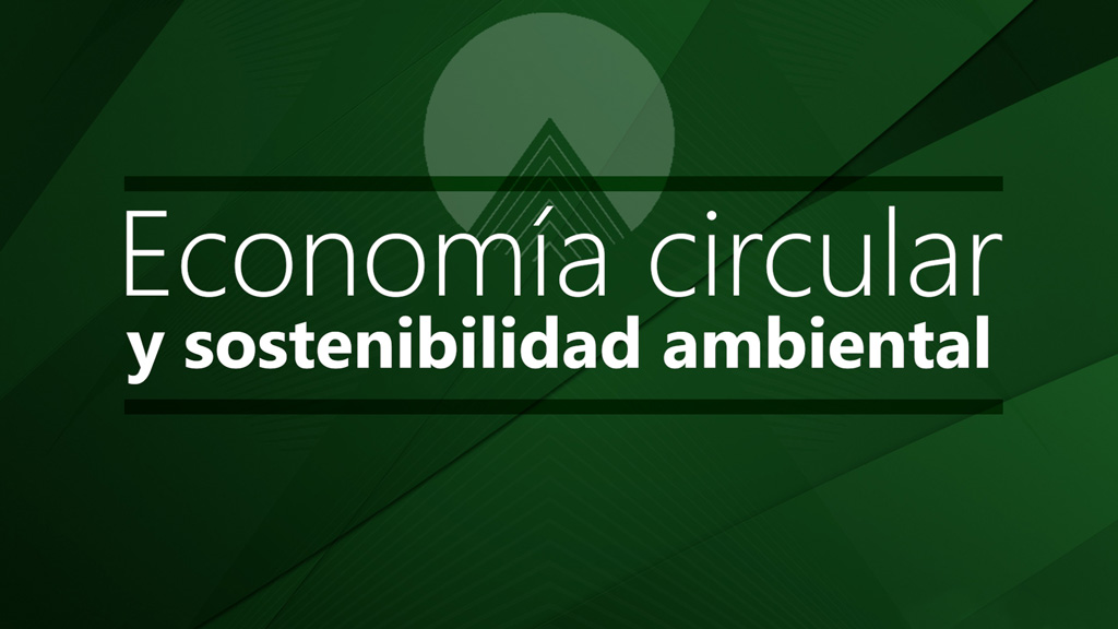 Curso De Economía Circular Y Sostenibilidad Ambiental Cursos Para