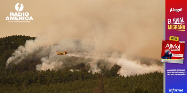 El Incendio En La Isla Española De Tenerife Consume 2600 Hectáreas