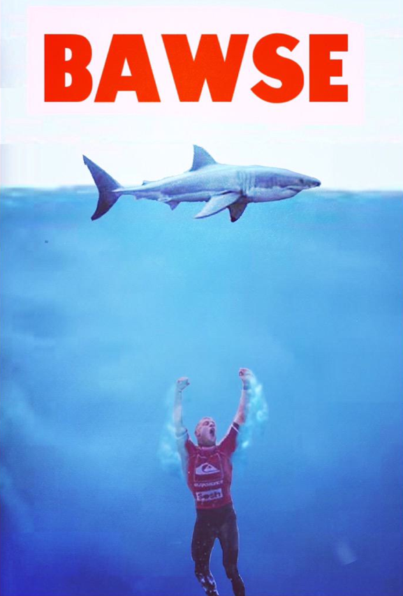 The Best Mick Fanning Shark Attack Memes To Bless The Internet