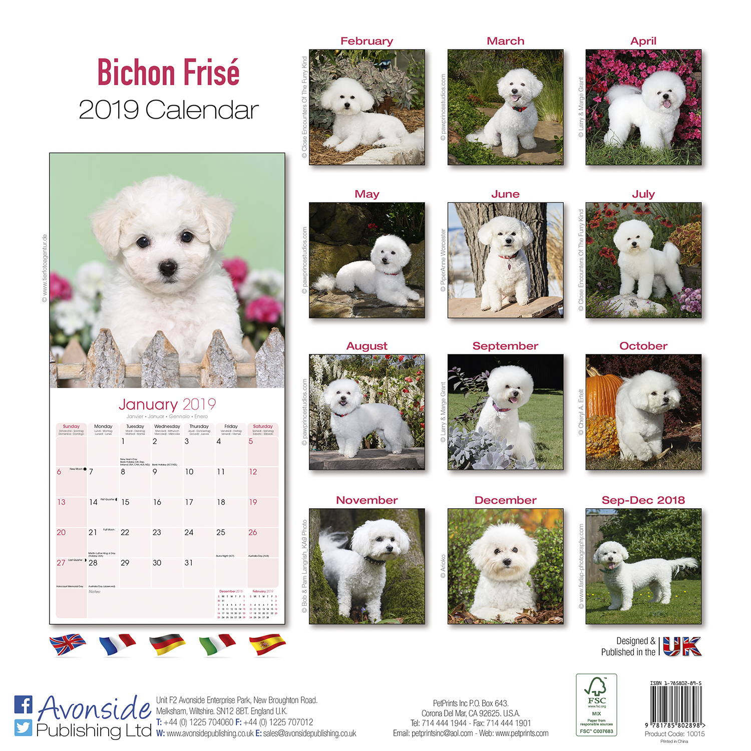 Bichon Frise Calendar Dog Breed Calendars Megacalendars