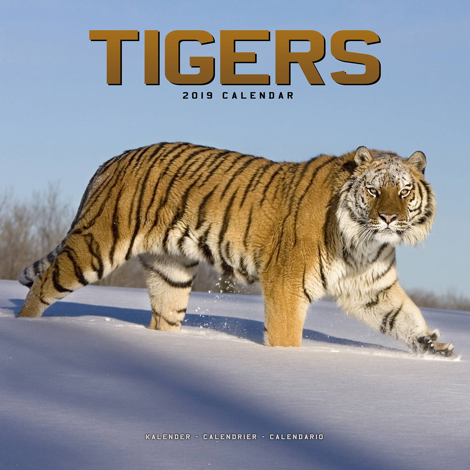 Tigers Schedule Calendar Heida Kristan