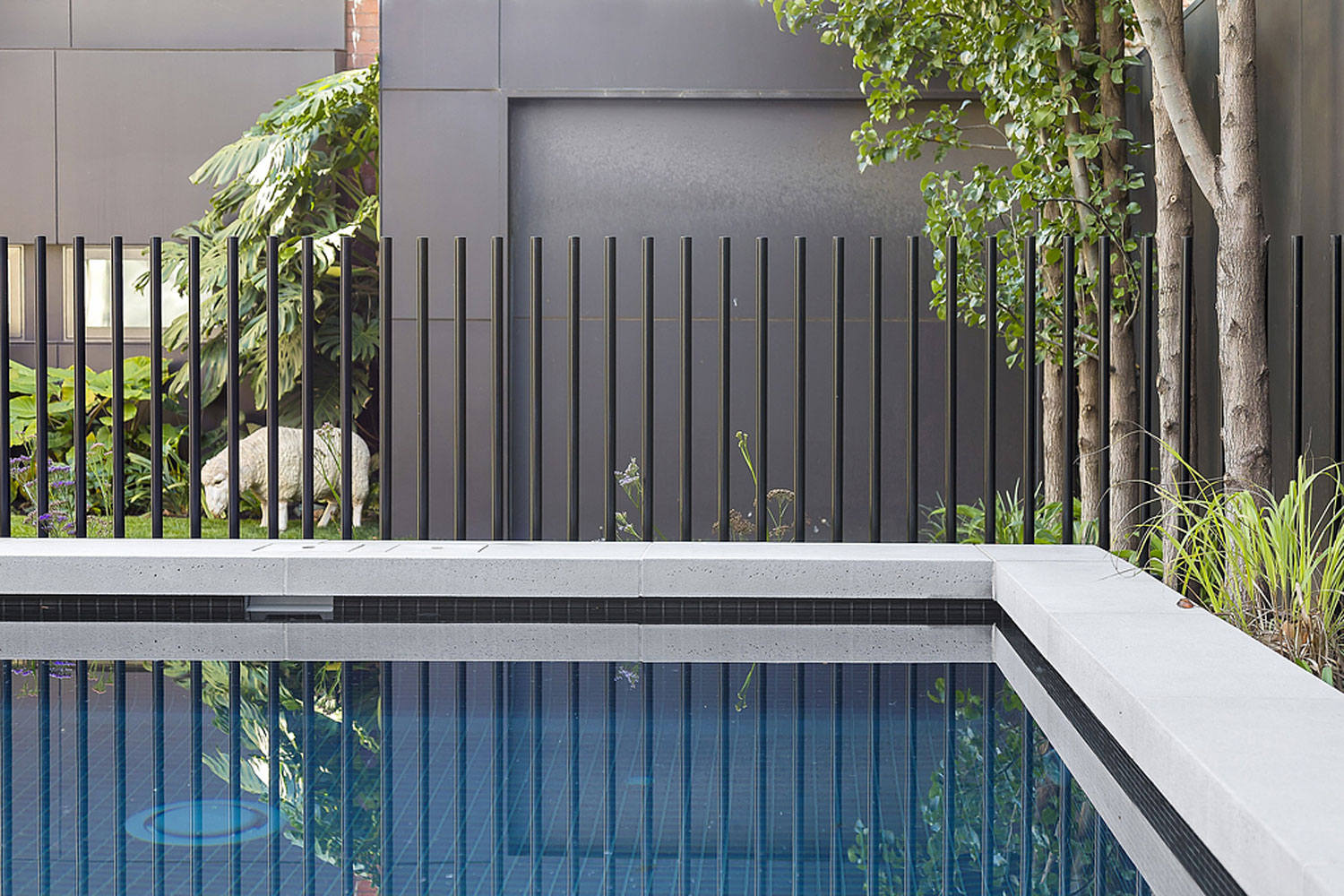 Pool Fence Designs That Give Your Yard The Wow Factor Completehome