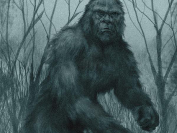 Sc Ep6 Witness Encounter Face To Face With Sasquatch 1208 By Bigfoot