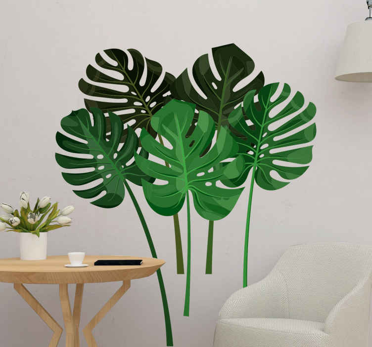 Vinilo Plantas Conjunto Hojas Monstera Tenvinilo