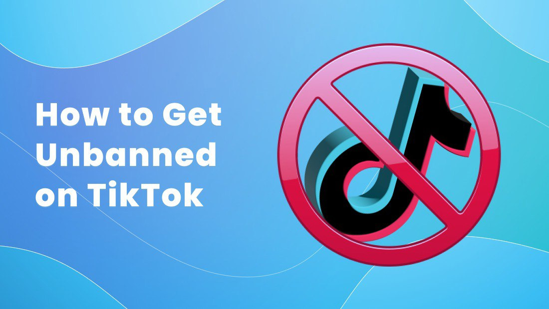 How To Get Unbanned From Tiktok Steps Tips Faqs 2024 Vista Social