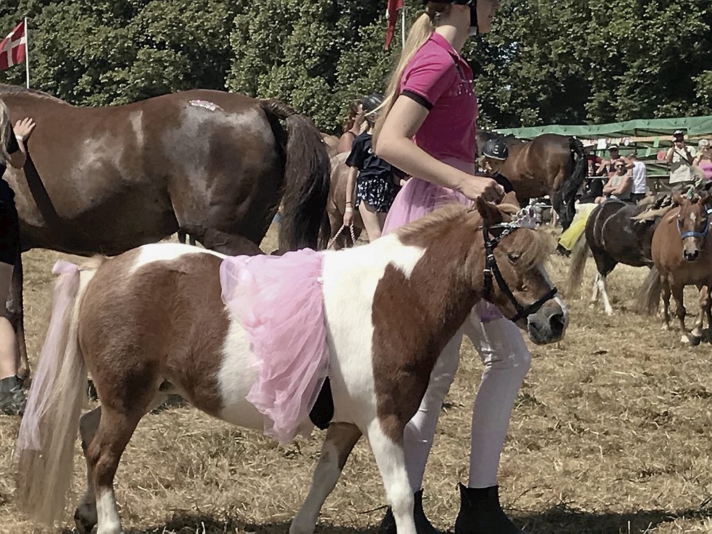 Se Billederne Folk Myldrede Til Dyrskue Sjællandske Nyheder