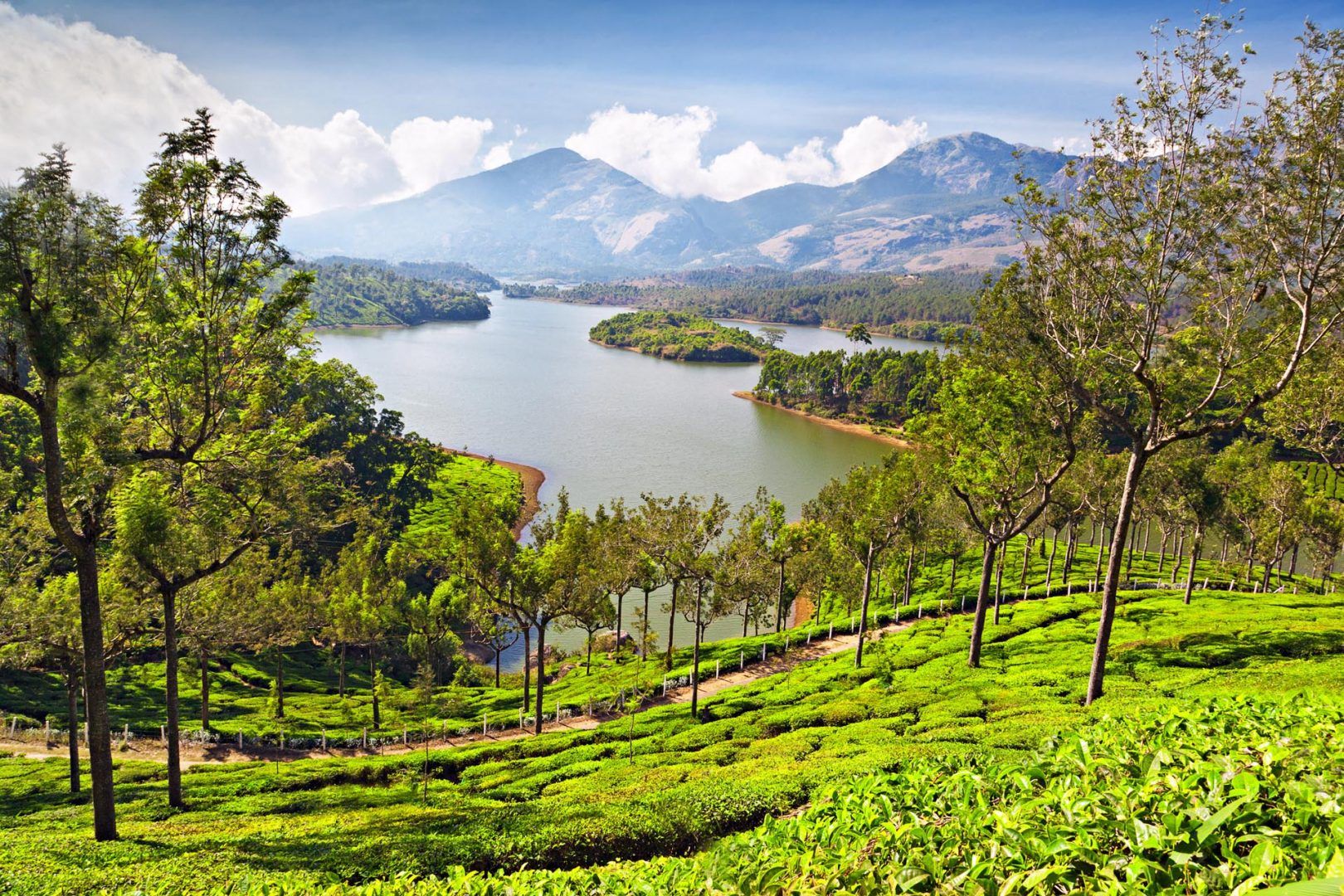 Kerala Tours — 3 Unique Itineraries Rough Guides