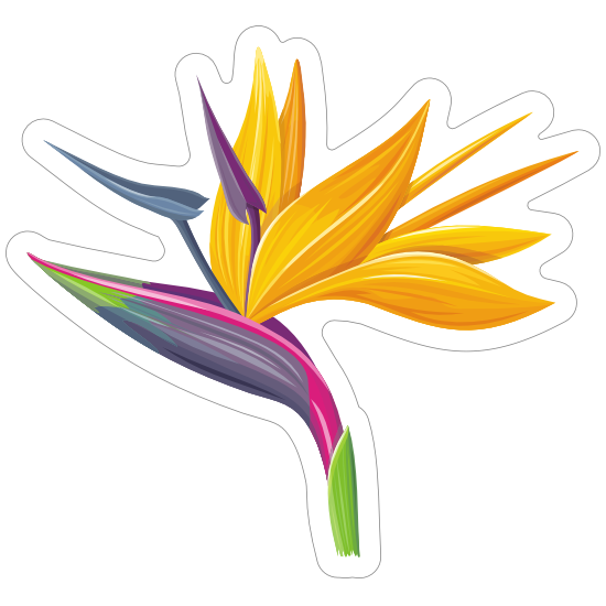 Bird Of Paradise Flower Png Free Logo Image